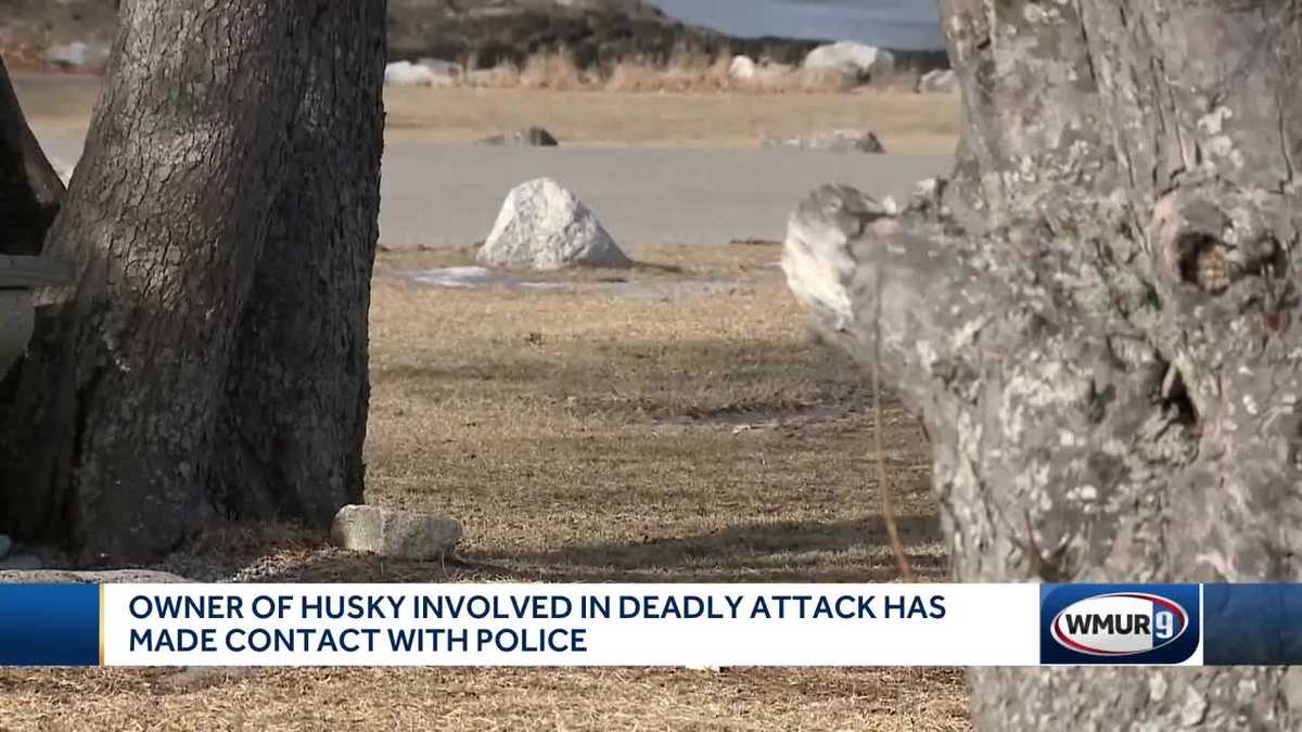Owner of husky involved in deadly dog attack has made contact with police