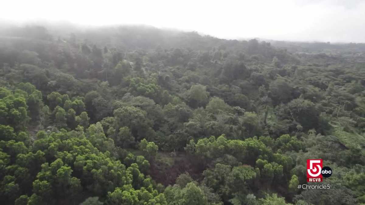 Venturing into Panama's biodiverse rainforest