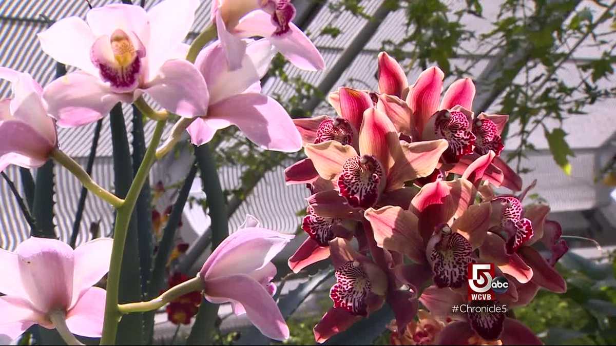 Keeping tradition alive through gardening Keeping tradition alive through gardening