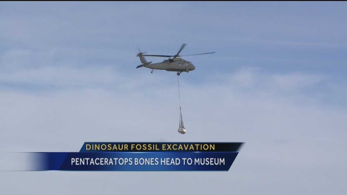 Helicopter used to transport rare dinosaur fossil