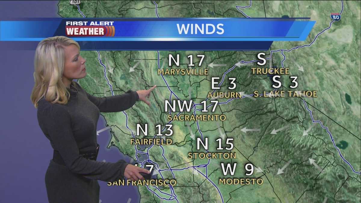 Tamara's Forecast 12.04.13