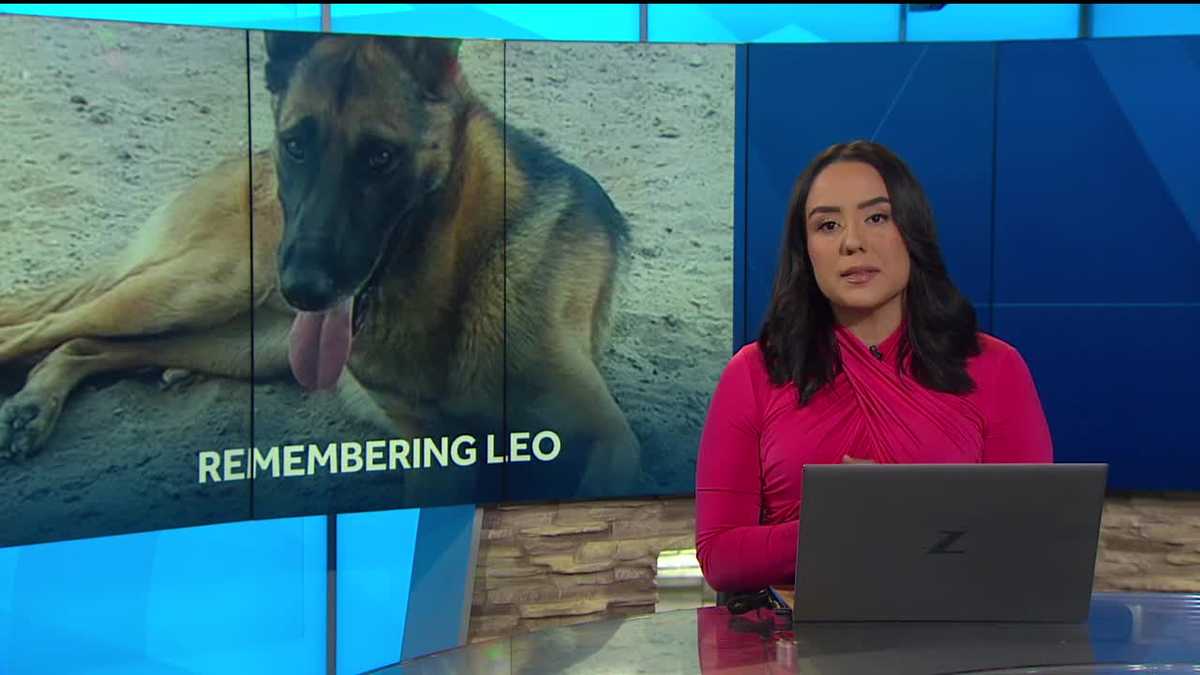 Former NMSP K9 is being remembered after battle with bone cancer