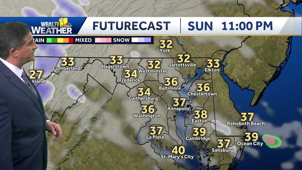 Spring weather fans rejoice this week