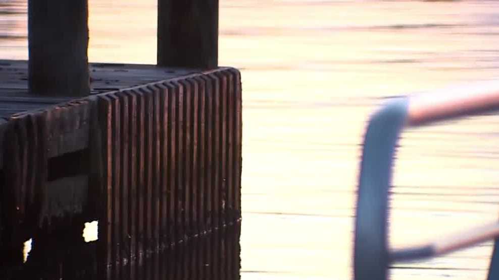 Woman recovers from gator attack in Martin County