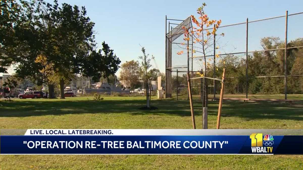 ReTree Baltimore County brings tree equity to more neighborhoods
