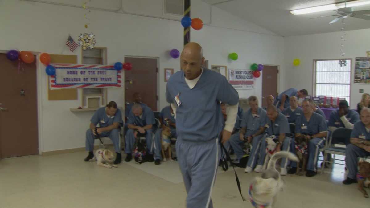 Prisoners train dogs via 'Prison 'N Pups' program in Volusia County