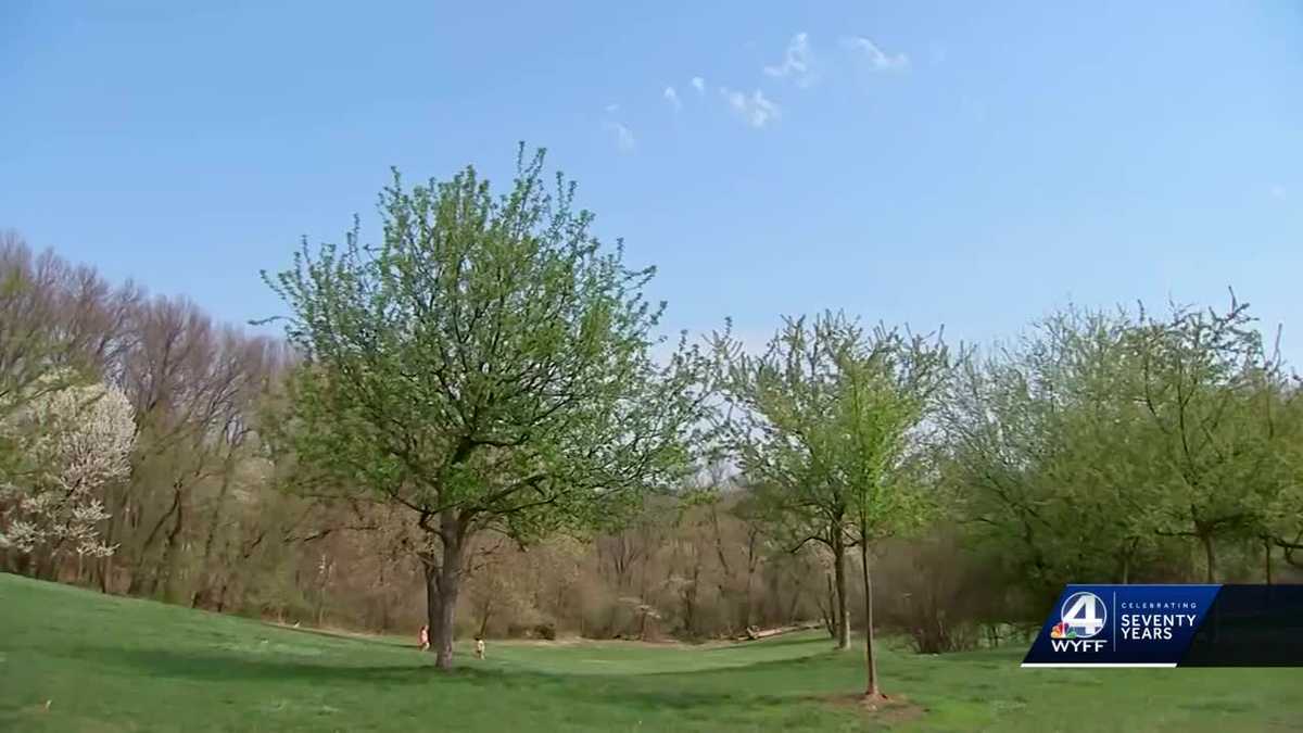 Trees bend, but you can help them not break