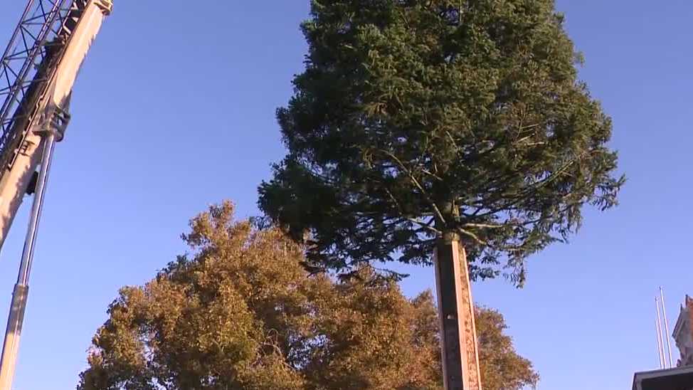 60-foot holiday tree arrives at Old Sacramento Waterfront