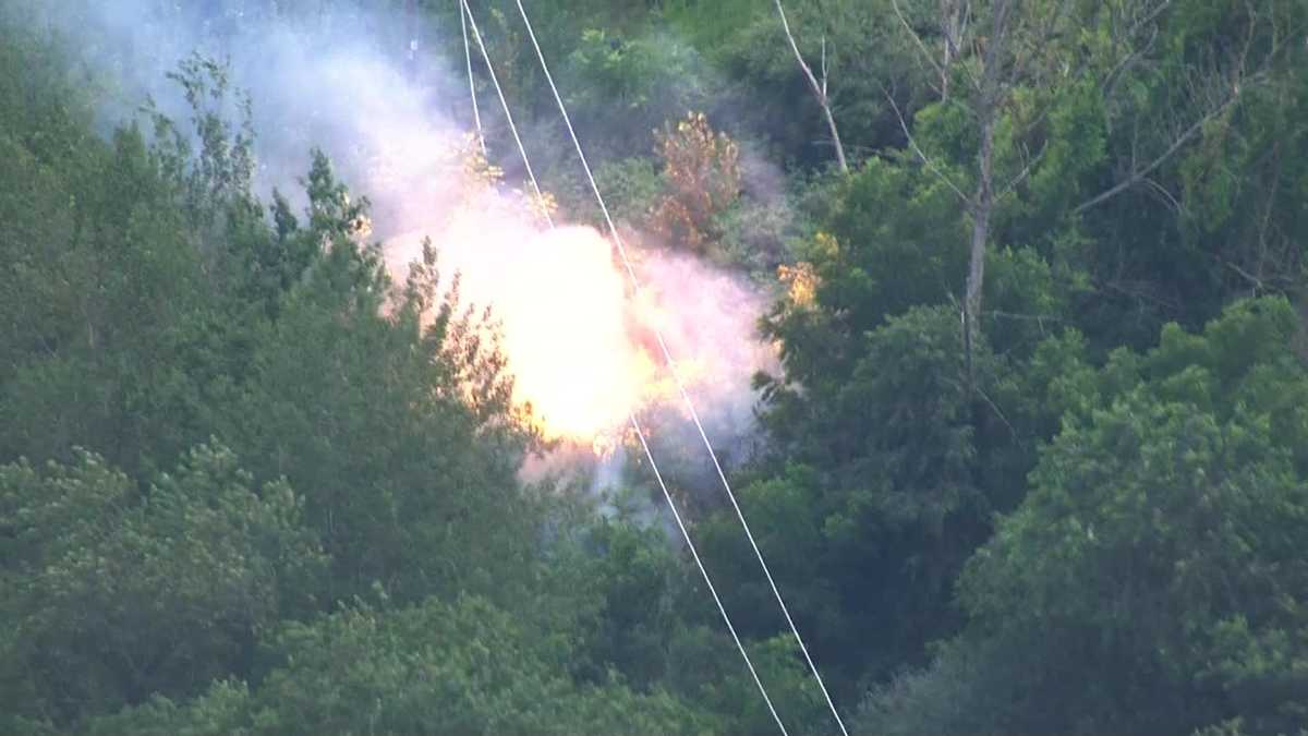Explosions caught on camera after tree falls on power line