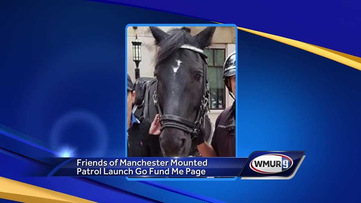 Manchester Mounted Patrol horse suffers corneal rupture, has eye removed