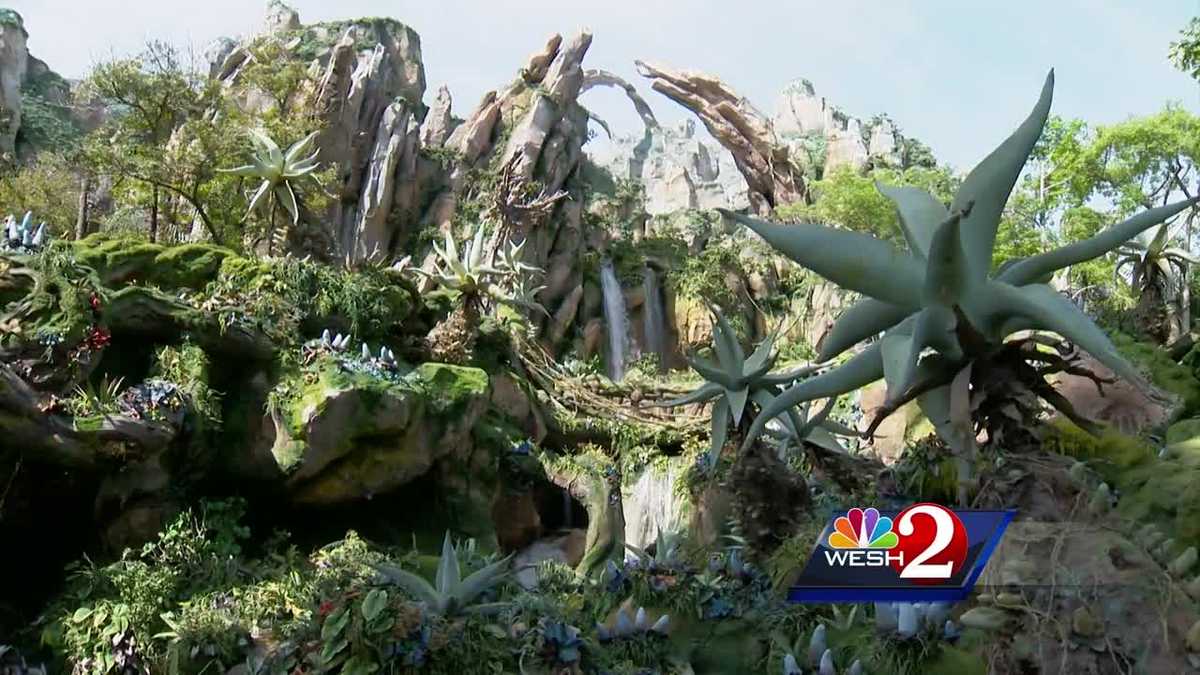 Unlocking the mystery behind 'Pandora: The World of Avatar'