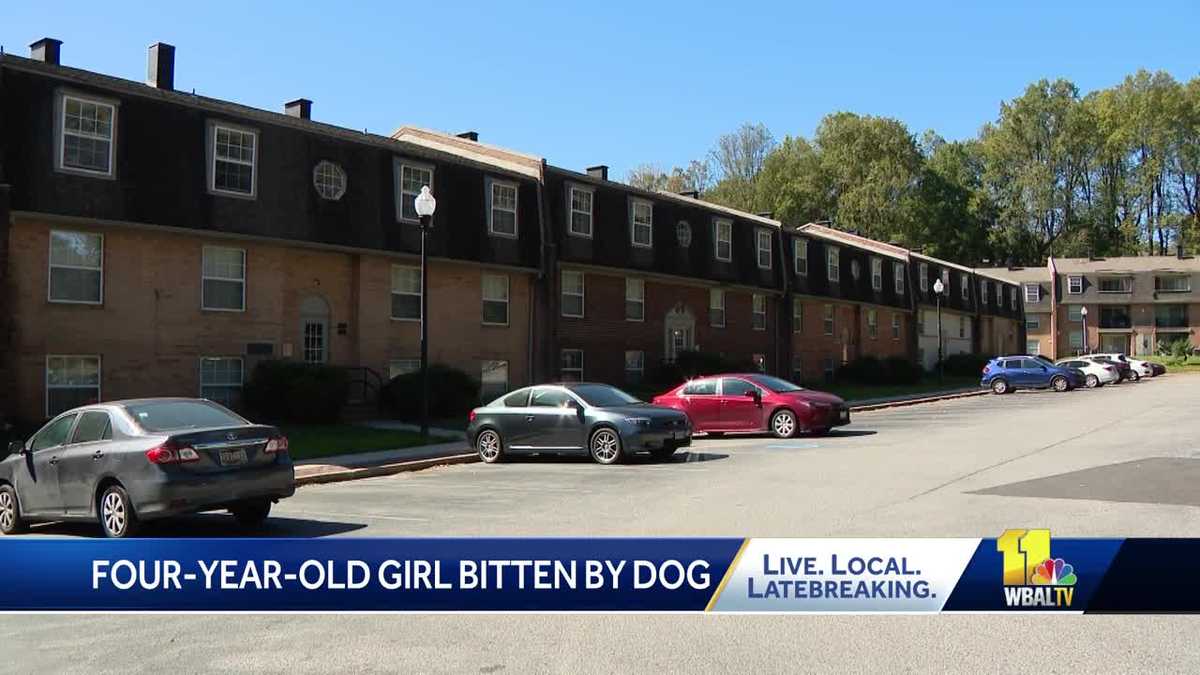Police: Pit bull who bit young girl involved in other incidents
