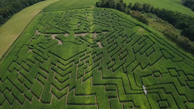 SKY5: Check out the largest maze in New England!