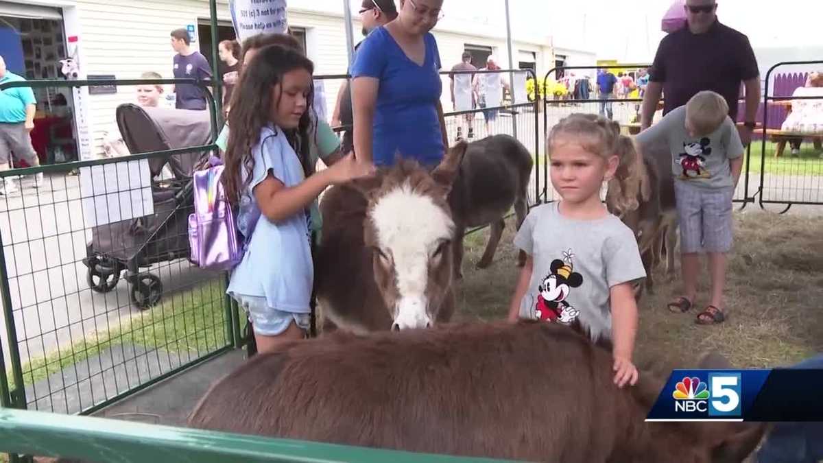 Clinton County Fair expects 10,000 fair-goers by Sunday