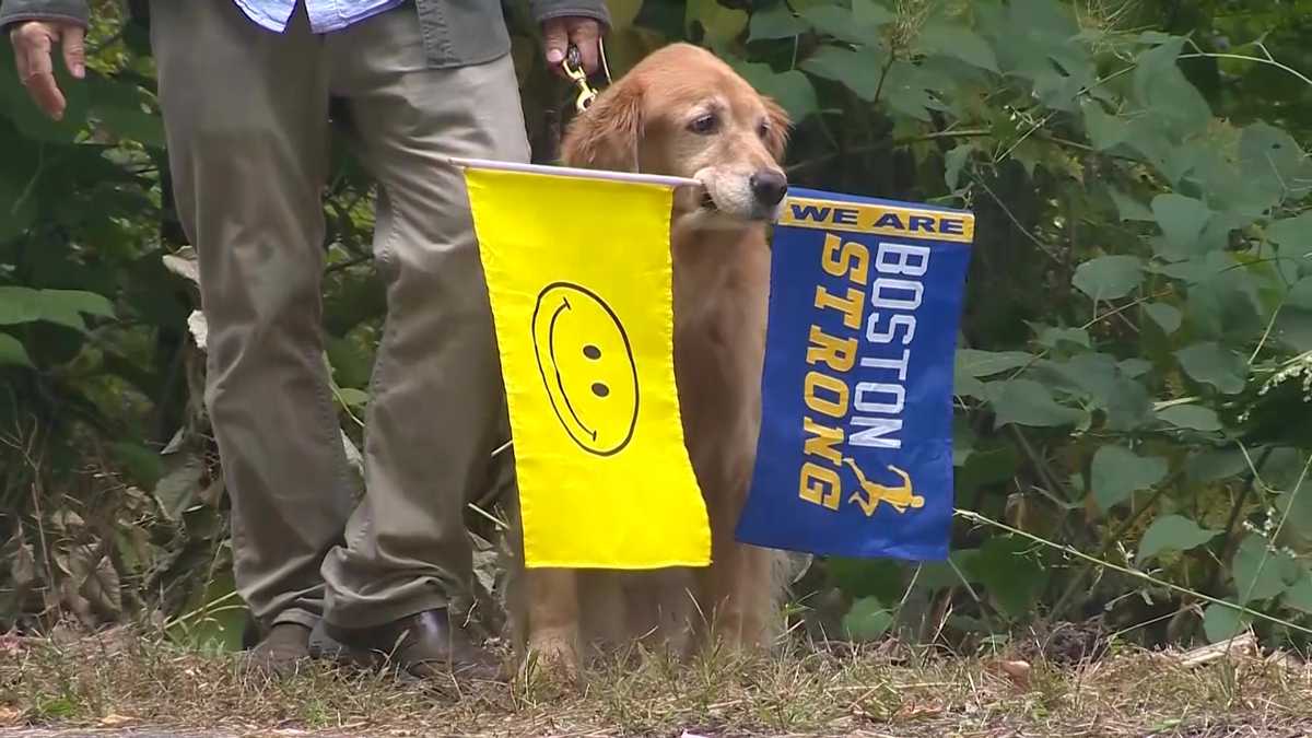 Spencer, official Boston Marathon dog, dies after cancer battle