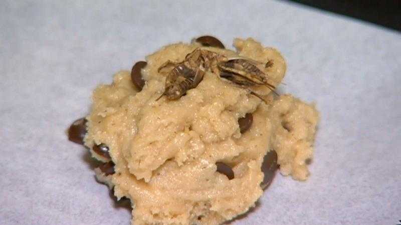 Students offered chocolate bug cookies, worm nachos on school menu