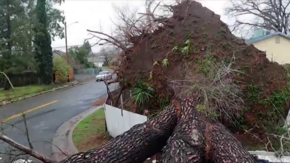 Sacramento storm clean up continues with trees blocking roads