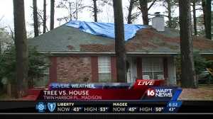 Tree onto house