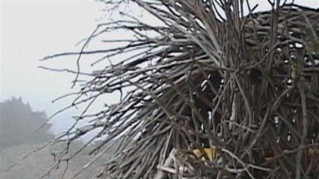 Big Sur artist Jayson Fann explains 'human nests'