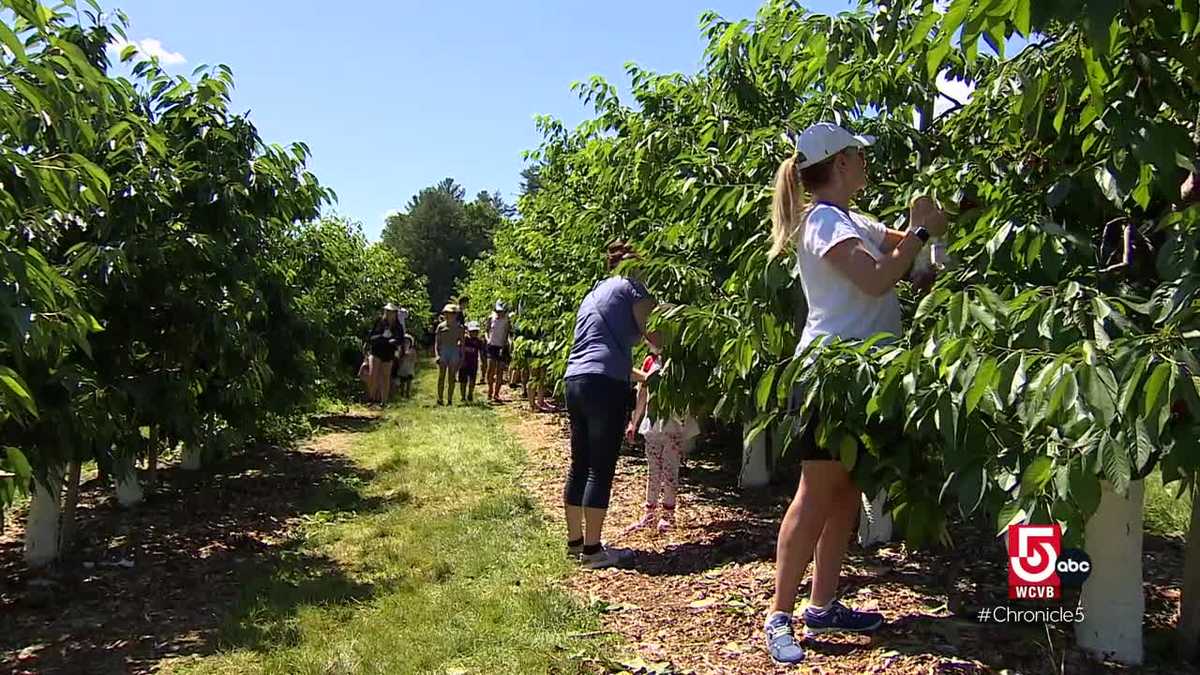 Parlee Farms in Tyngsboro, serves up fresh fruit each summer