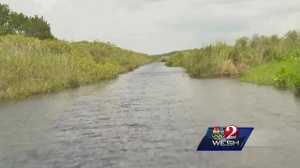The difficulties behind trapping alligators