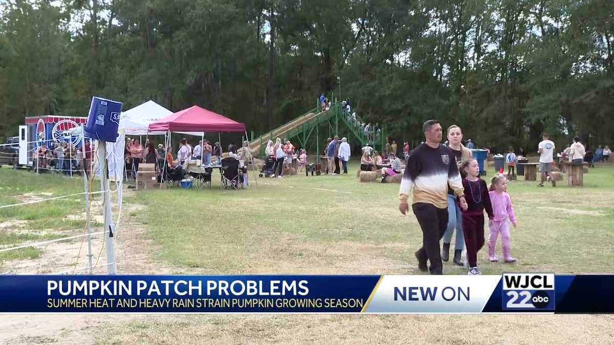 Pumpkin Patch Problems?