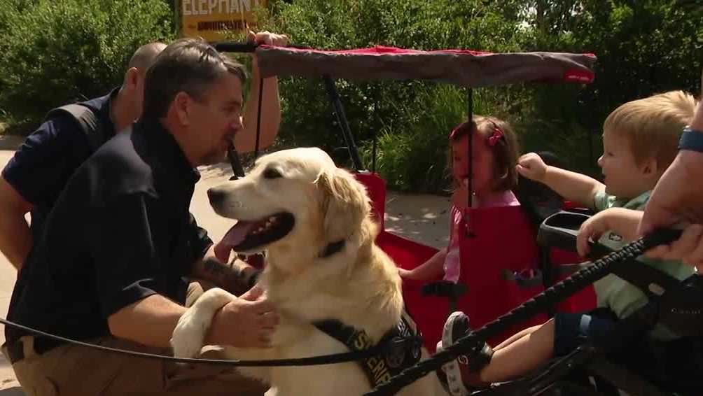 Bellevue police therapy dogs train socialize at Henry Doorly Zoo