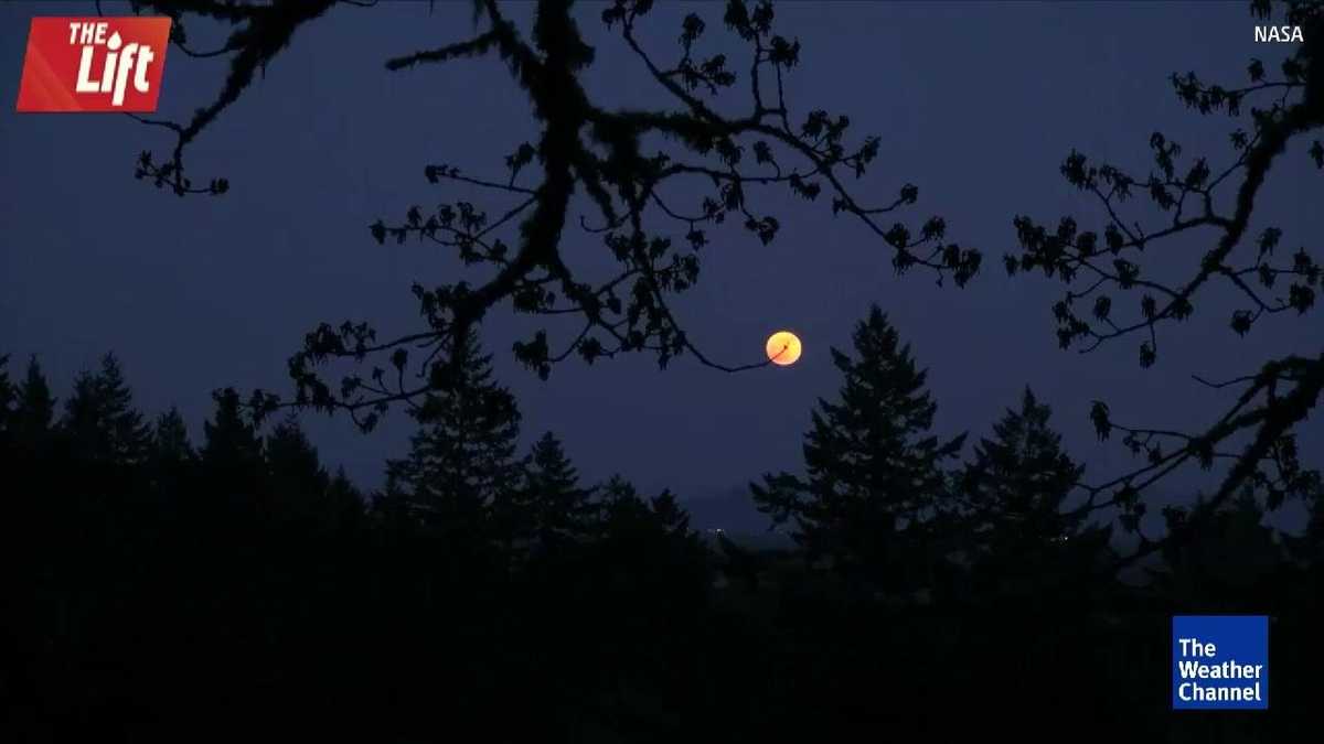 Harvest Moon has added Bonus of Eclipse