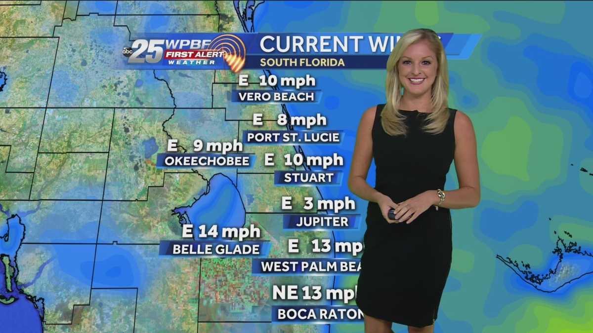 Taylor Grenda's Video Forecast