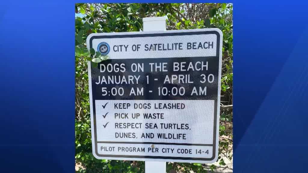 Satellite Beach weighs year-round beach access for dogs
