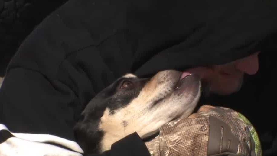 Louisiana homeless man dog freezing cold