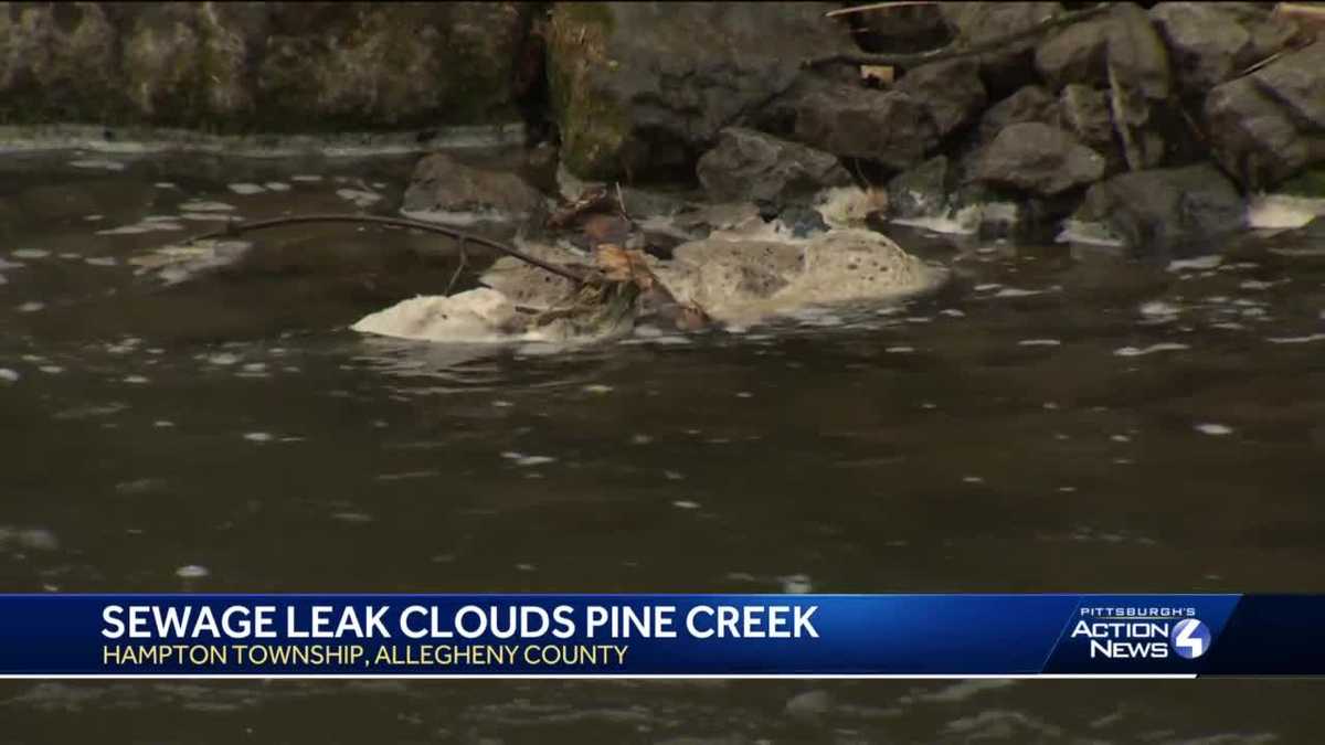 Sewage leak clouds North Hills creek