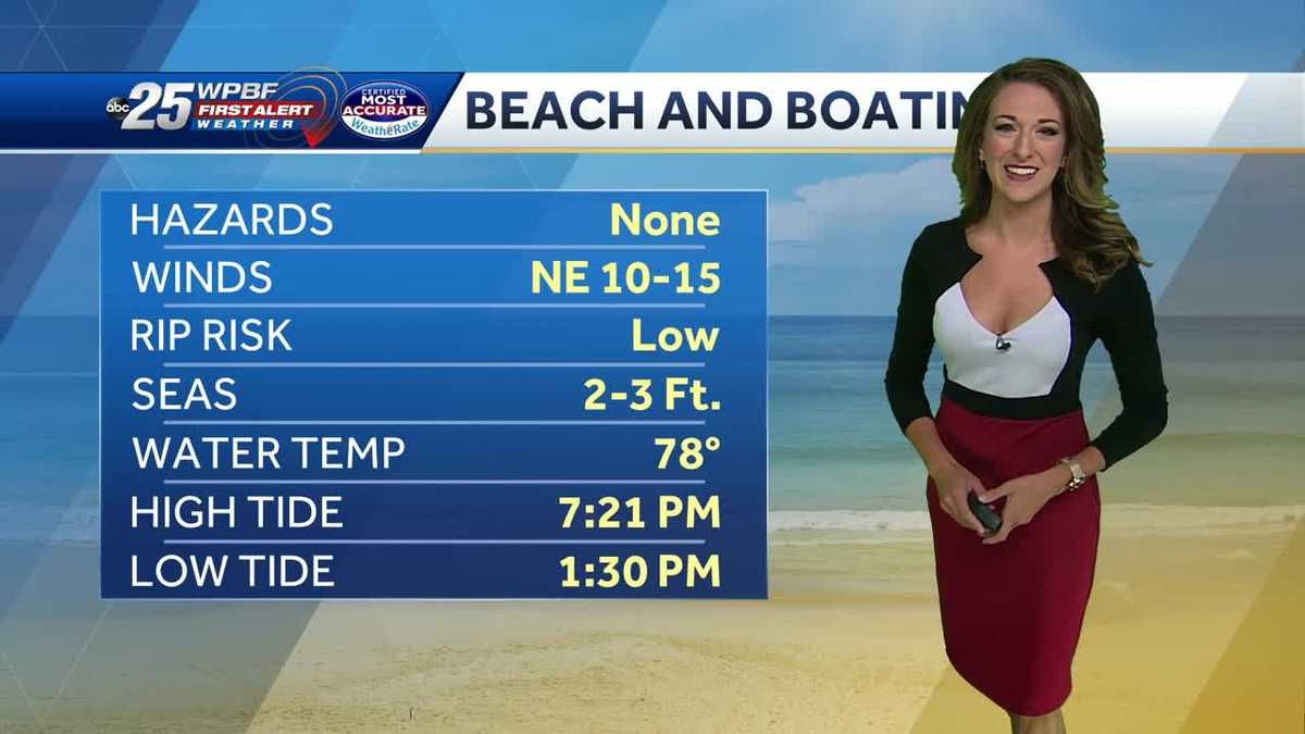 Britley's Updated Forecast