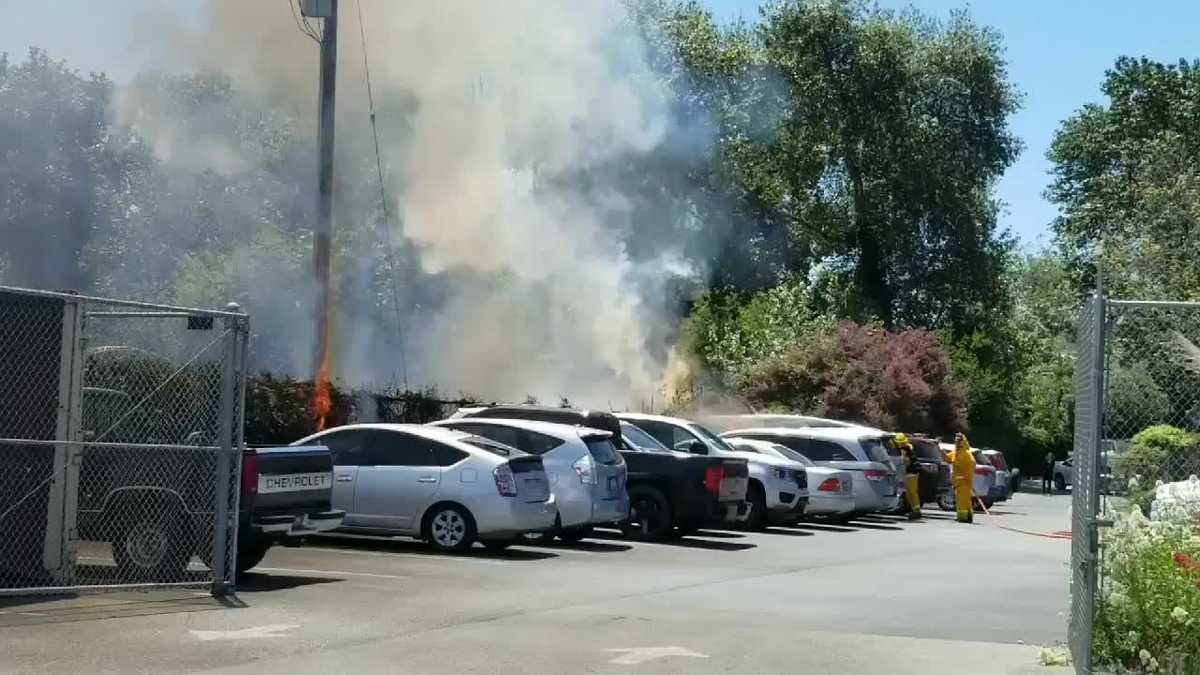 Vegetation fire damages parked cars in Freedom