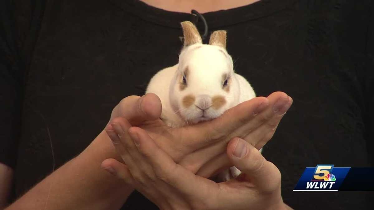 The Hamilton County 4-H Community Fair is only a few weeks away