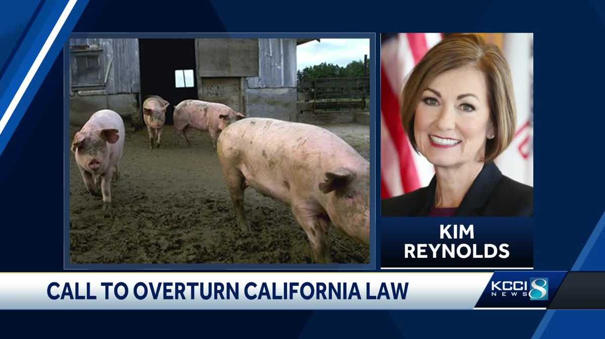 Iowa Gov. Kim Reynolds asks Congress to overturn California pork law