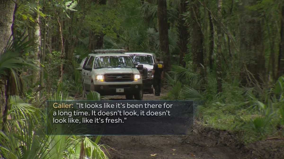 Human skull, leg bone found in rural Volusia County