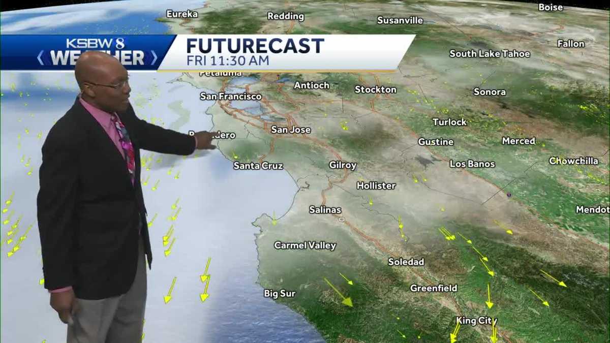 Breezy Conditions – High Surf and Coastal Fog