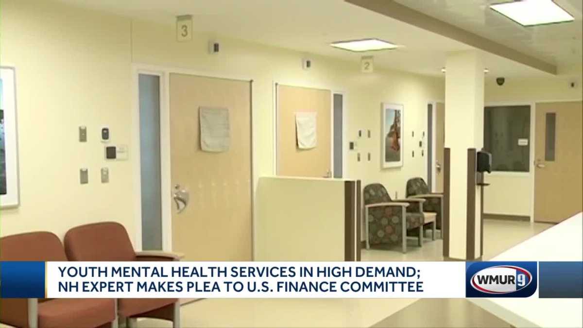 New Hampshire youth mental health expert speaks to U.S. Senate