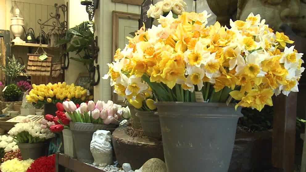 Digs Home and Garden celebrates 25 Years in St. Matthews