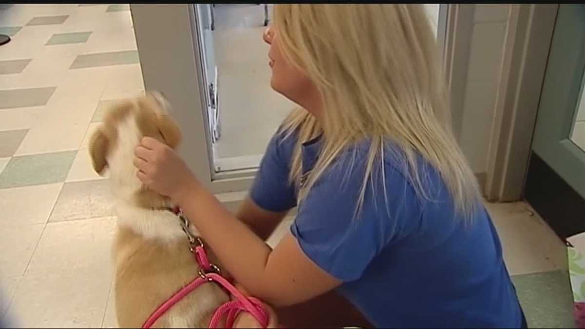 Dog, owner reunited after Moore tornado