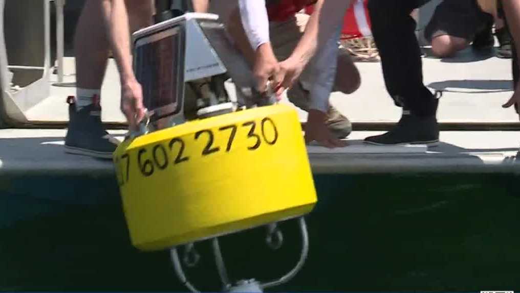 Marine scientists deploy a shark detection buoy off coastline