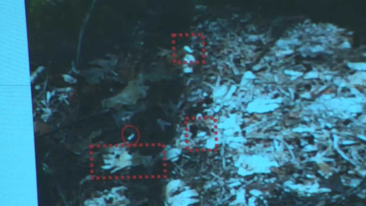 Logan Clegg Trial Owner Of Forensic Image Analysis Lab Testifies Part 2