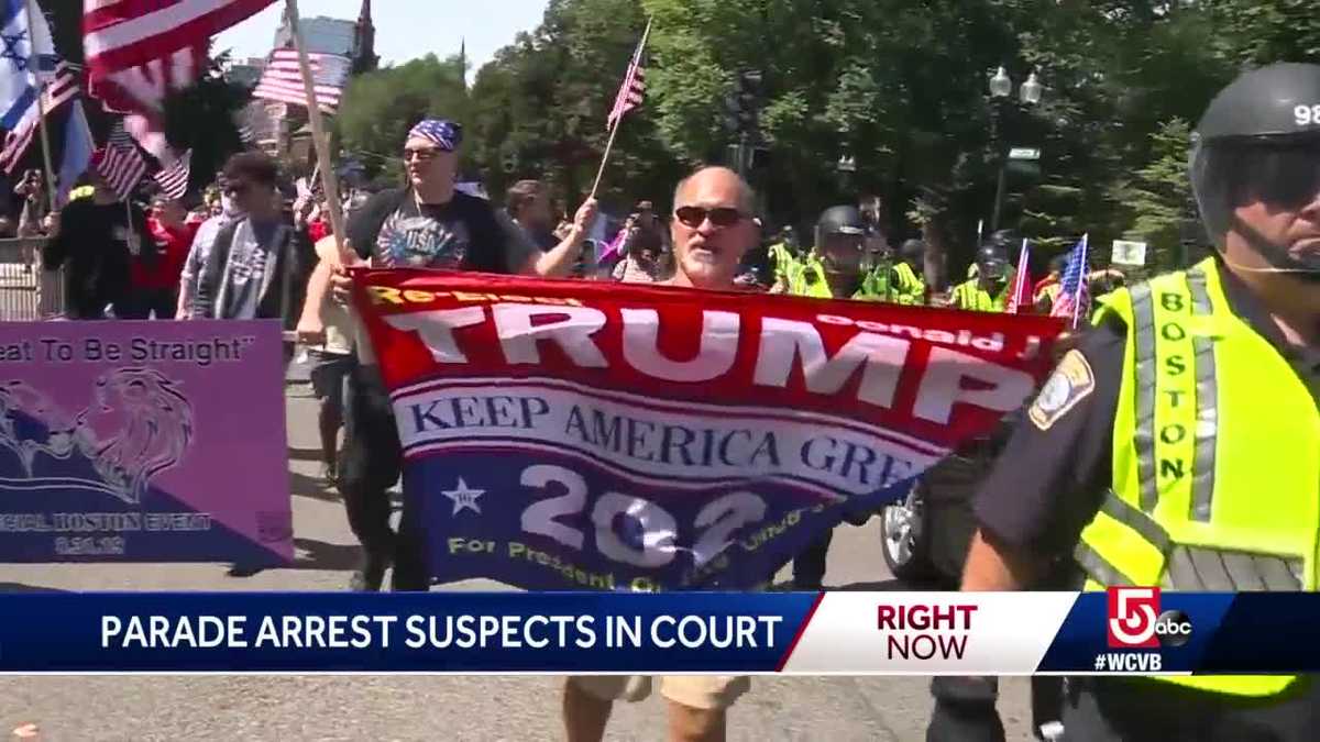 Dozens arrested in 'straight-pride' parade in court