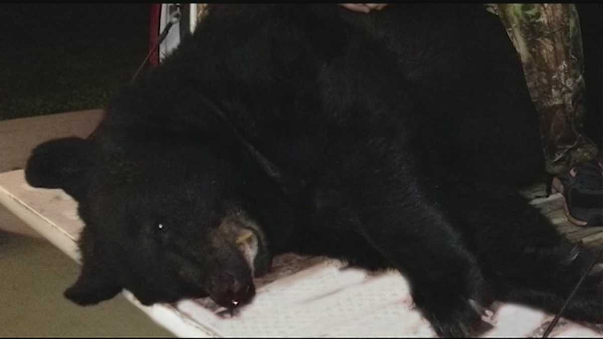 South Carolina hunter bags state record black bear