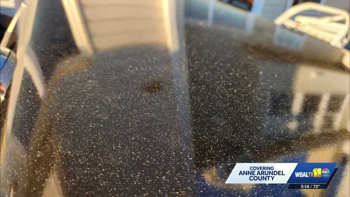 MDE: Strange gray substance poses no public health threat