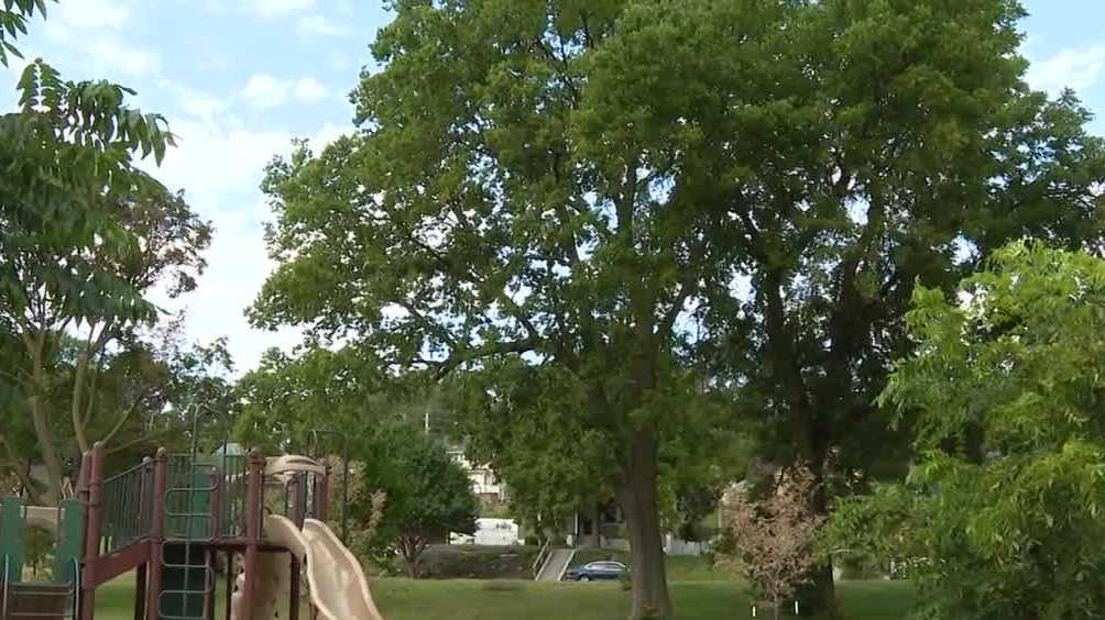 Keep Omaha Beautiful launches new Trees for Tomorrow program