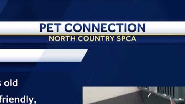 Pet Connection: March 2, 2023
