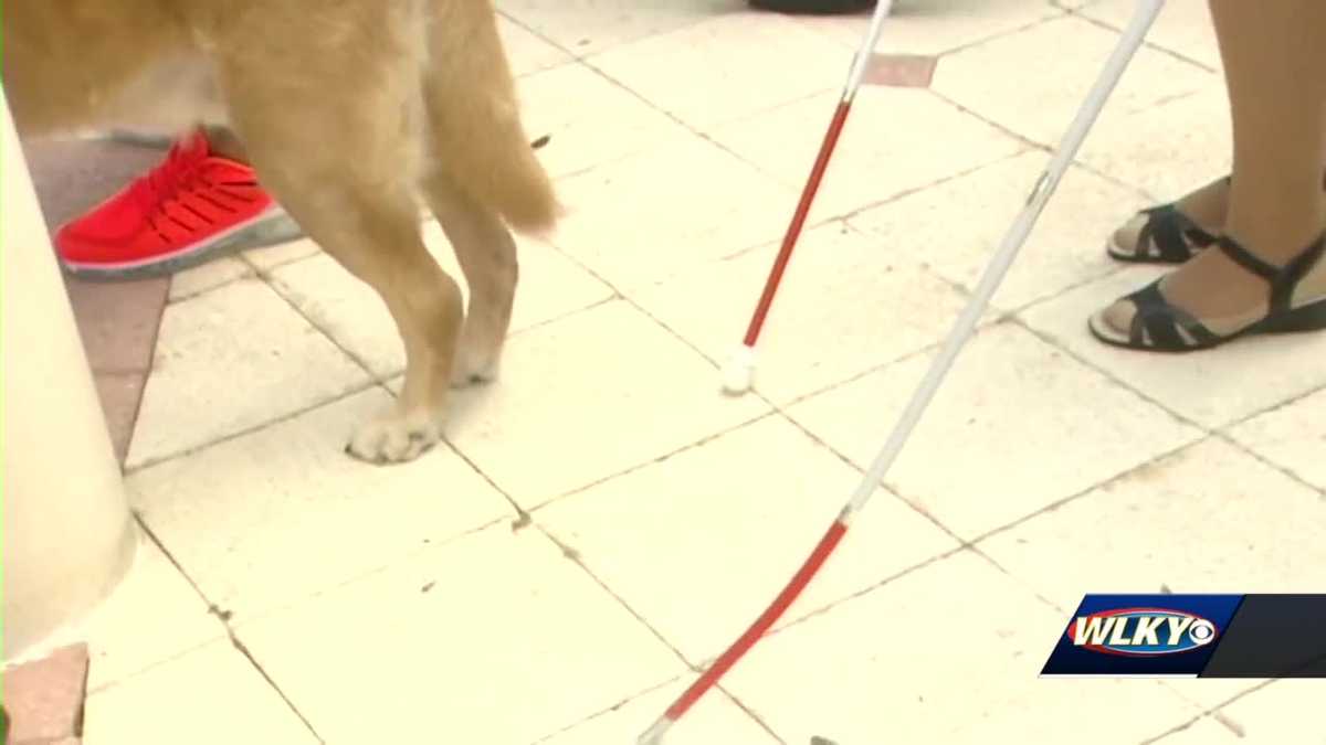 White Cane Safety Day is Tuesday