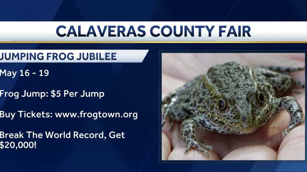 Weekend Fun: Jumping Frog Jubilee & Calaveras County Fair